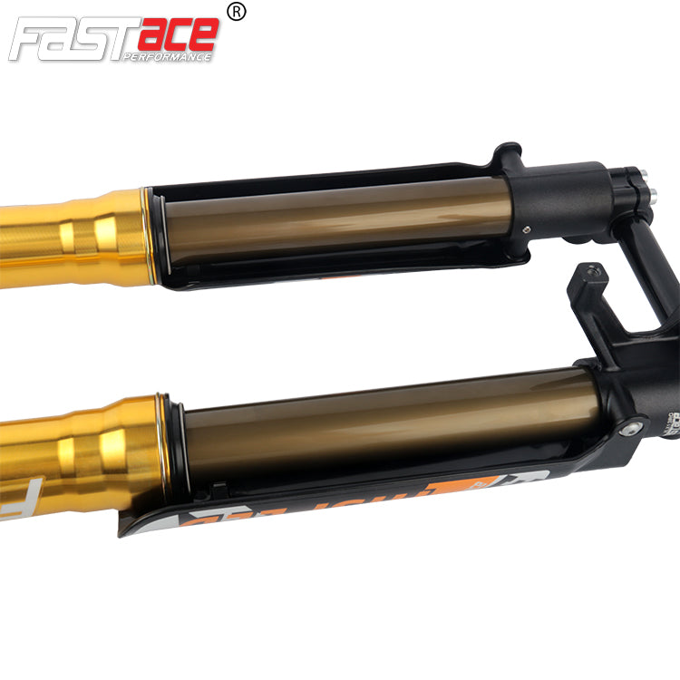 FASTACE ALX13RC 2.0 Original Factory Front Fork Suspension For Surron